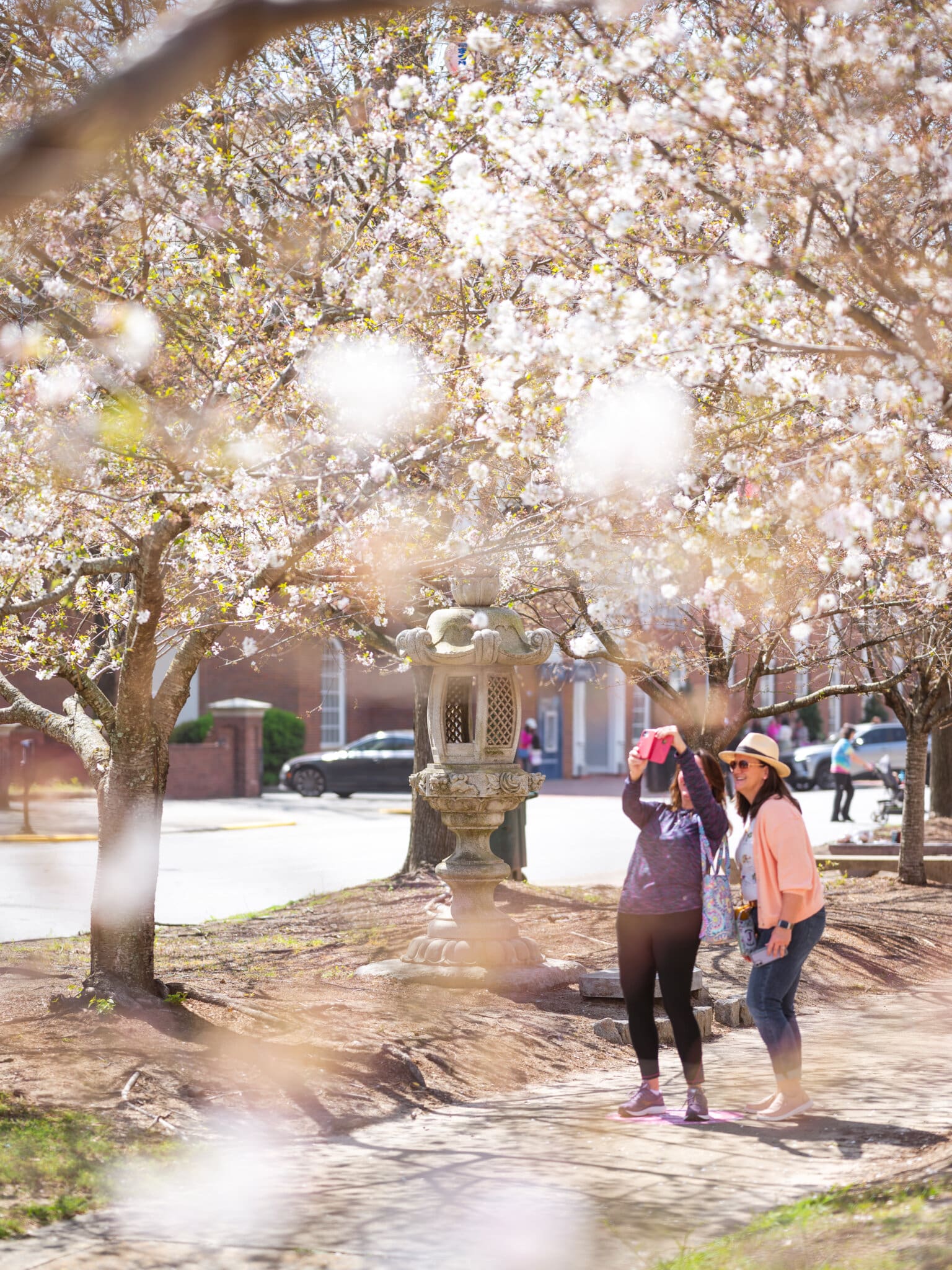 Top 10 in the 478: February - March 2025 | Macon Magazine